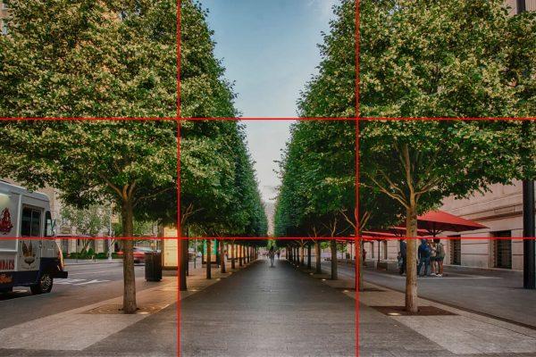 Mastering the Art of Composition - A Guide for Artists | Angela Edwards