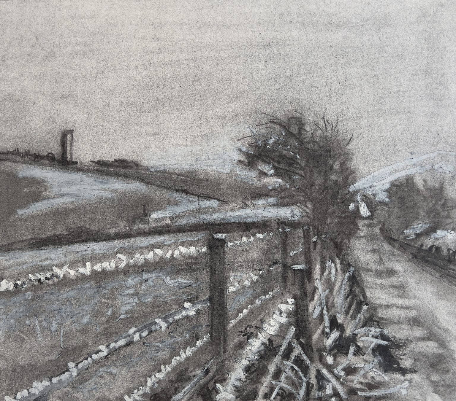 Winter Walk | Angela Edwards